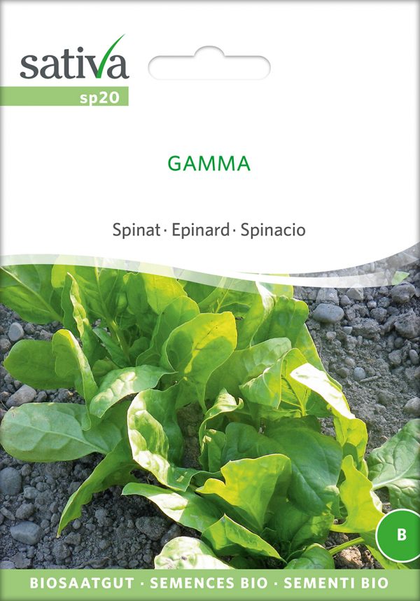 Spinat Gamma – Unser grünes Glück