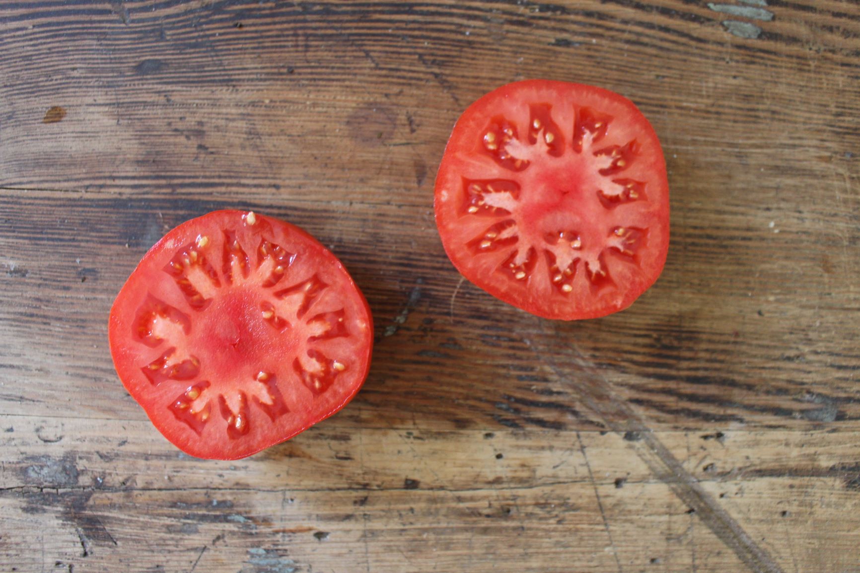 Fleischtomate, rot – Unser grünes Glück